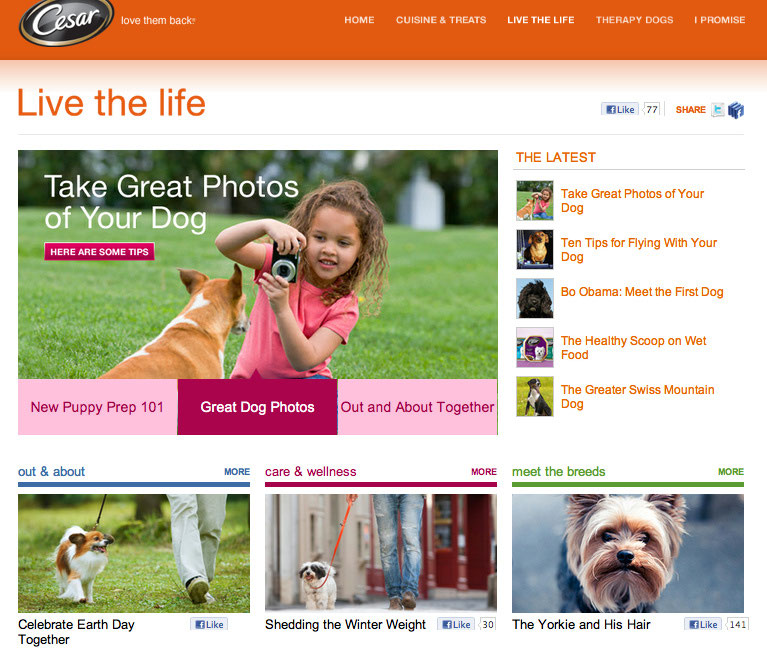 Maelina Frattaroli - Krop Creative Database