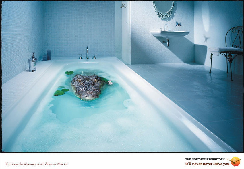 Dale Rhodes - Krop Creative Database