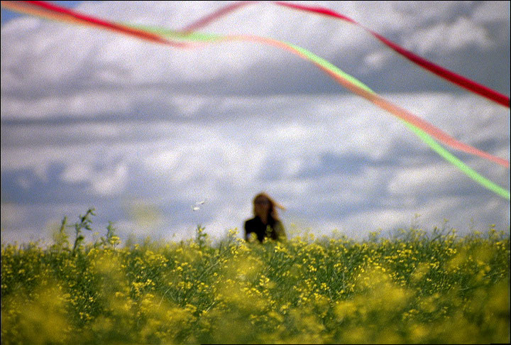 Mark Johnston - Krop Creative Database